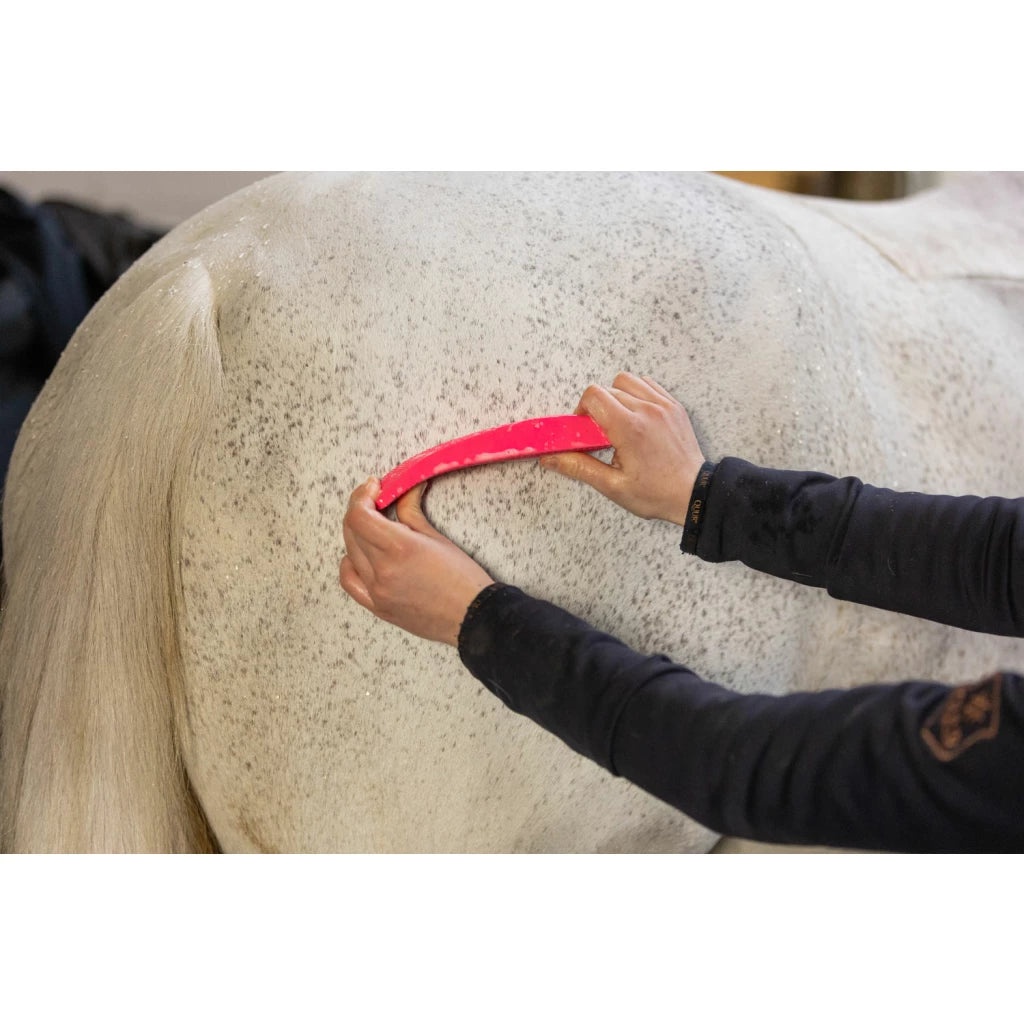 Køb Excellent Grooming Brush - Riders Deluxe