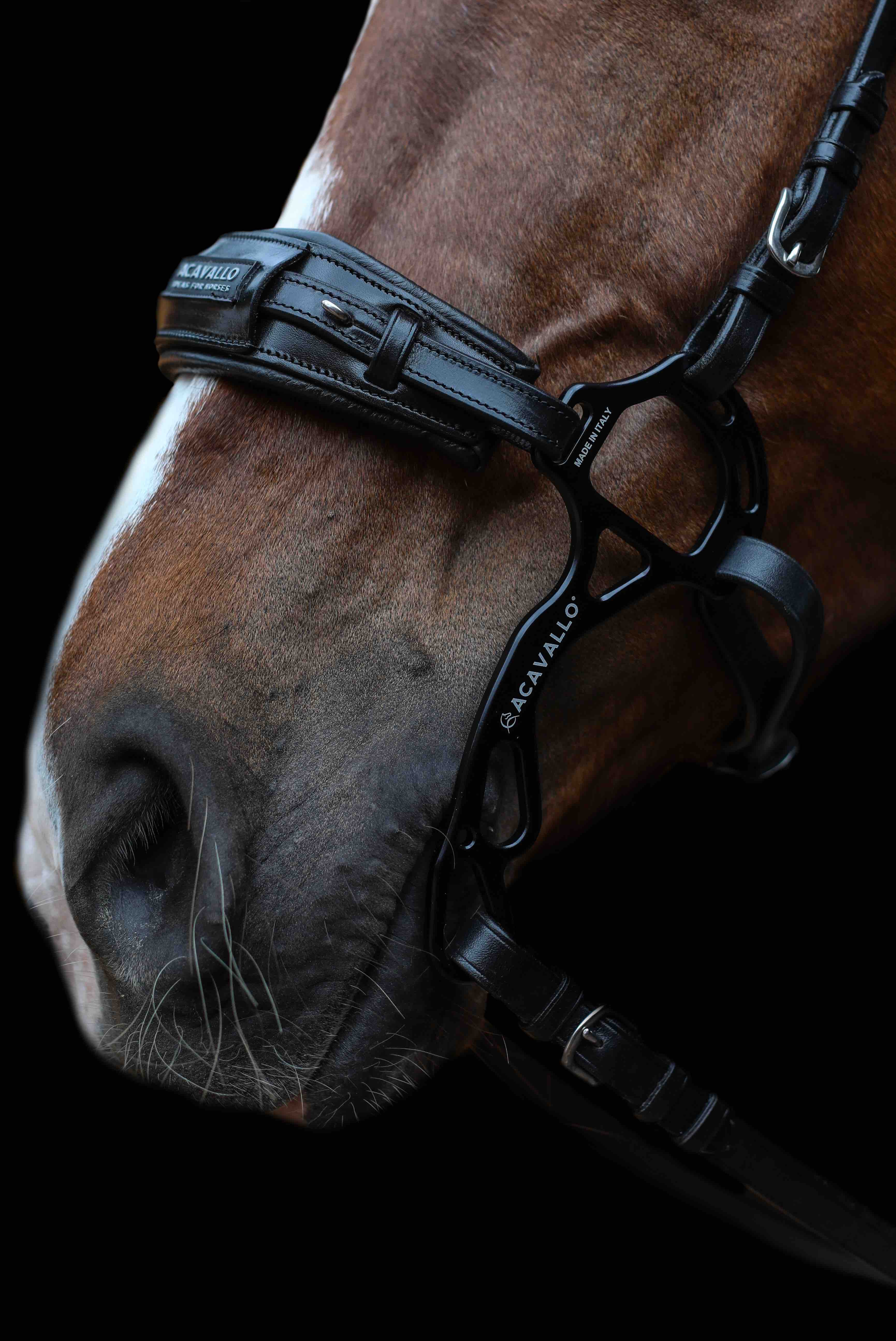 Køb Acavallo AluPro hackamore - Riders Deluxe